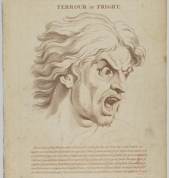 Les passions de l'âme : figurer l'émotion du XVIIe au XIXe siècle ...